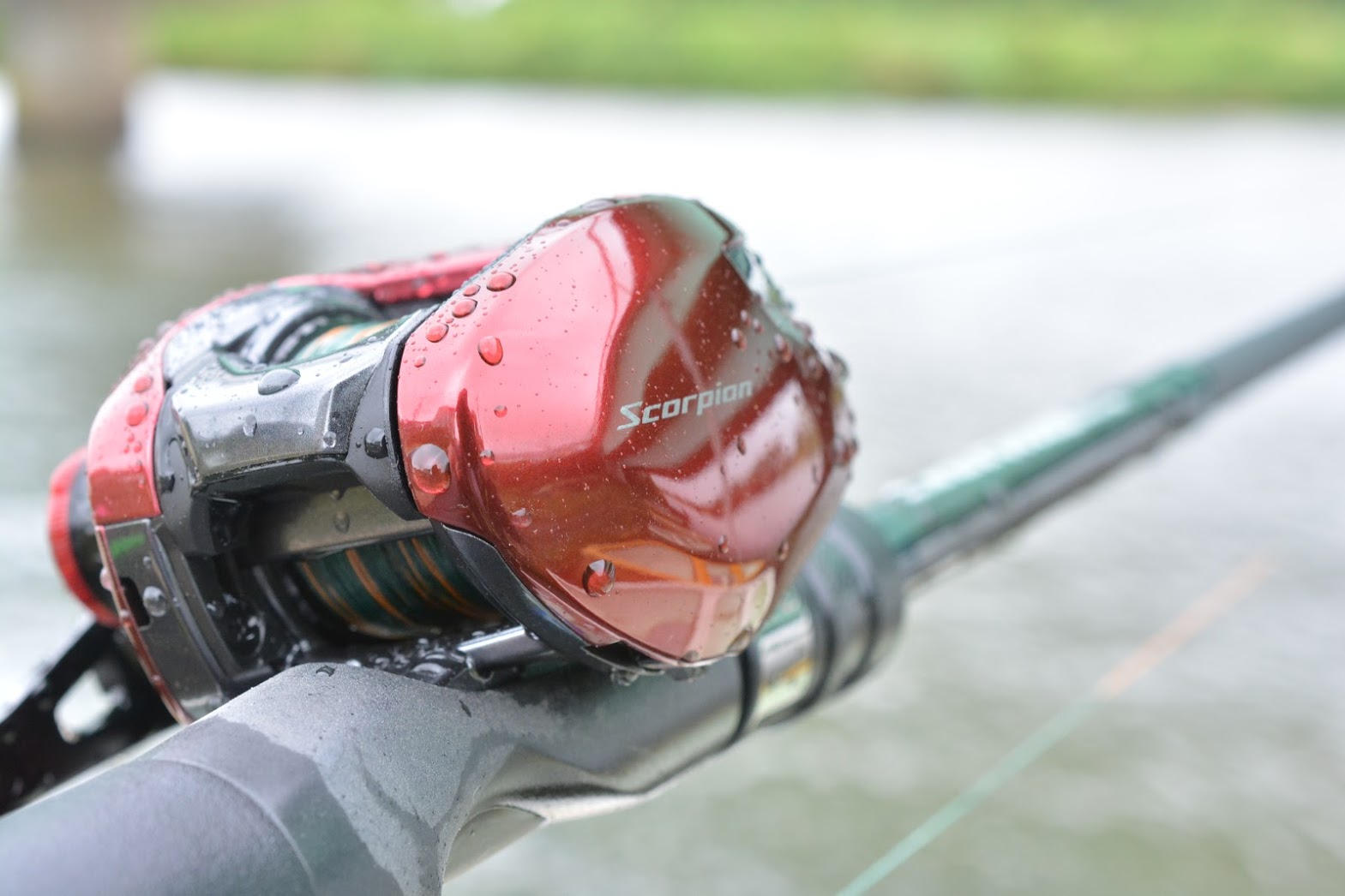 ’19スコーピオンMGL インプレ。安価な高剛性系として魅力的なリール。 | ikahime