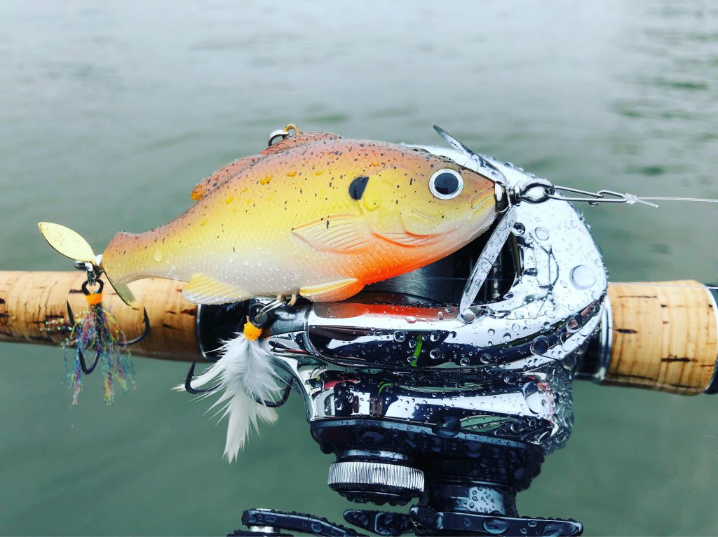 【MPB LURES】BEEP Call Gillインプレ。独創的なギル型I字系。 | ikahime | 2ページ目