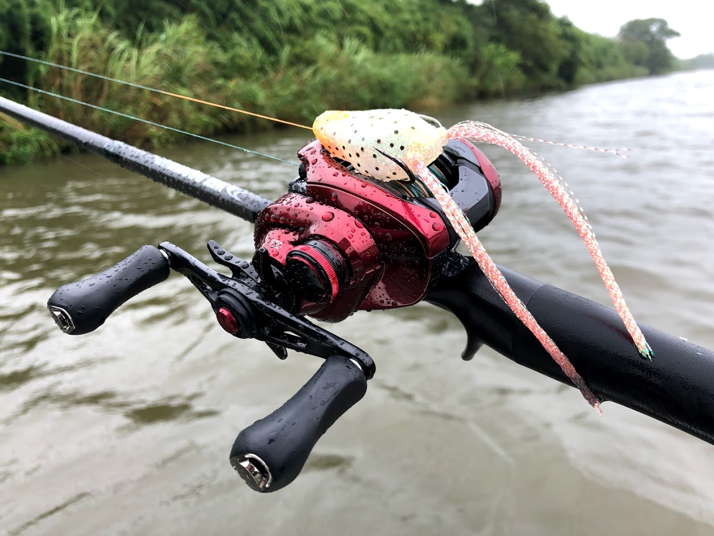 スティーズチキータフロッグ。（6.2g）虫感覚で使えるマイクロフロッグ。 | ikahime | 2ページ目