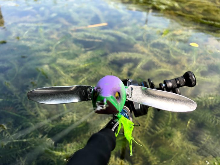 RAID JAPAN ダッジ インプレ。レアではなくなったのか。 | ikahime | 2ページ目