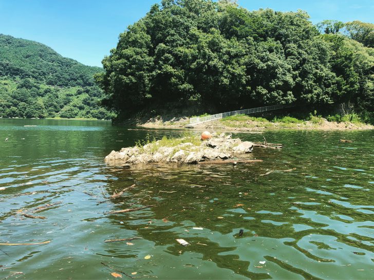 灼熱の8月 津久井湖 バス釣り。42cm1本、25cm×2本、他まめ1本。 | ikahime