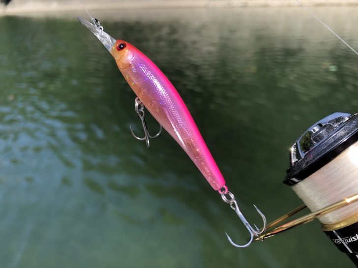 ジャッカル スピンビドー70SP インプレ。姿勢制御が安定したシャッド。 | ikahime