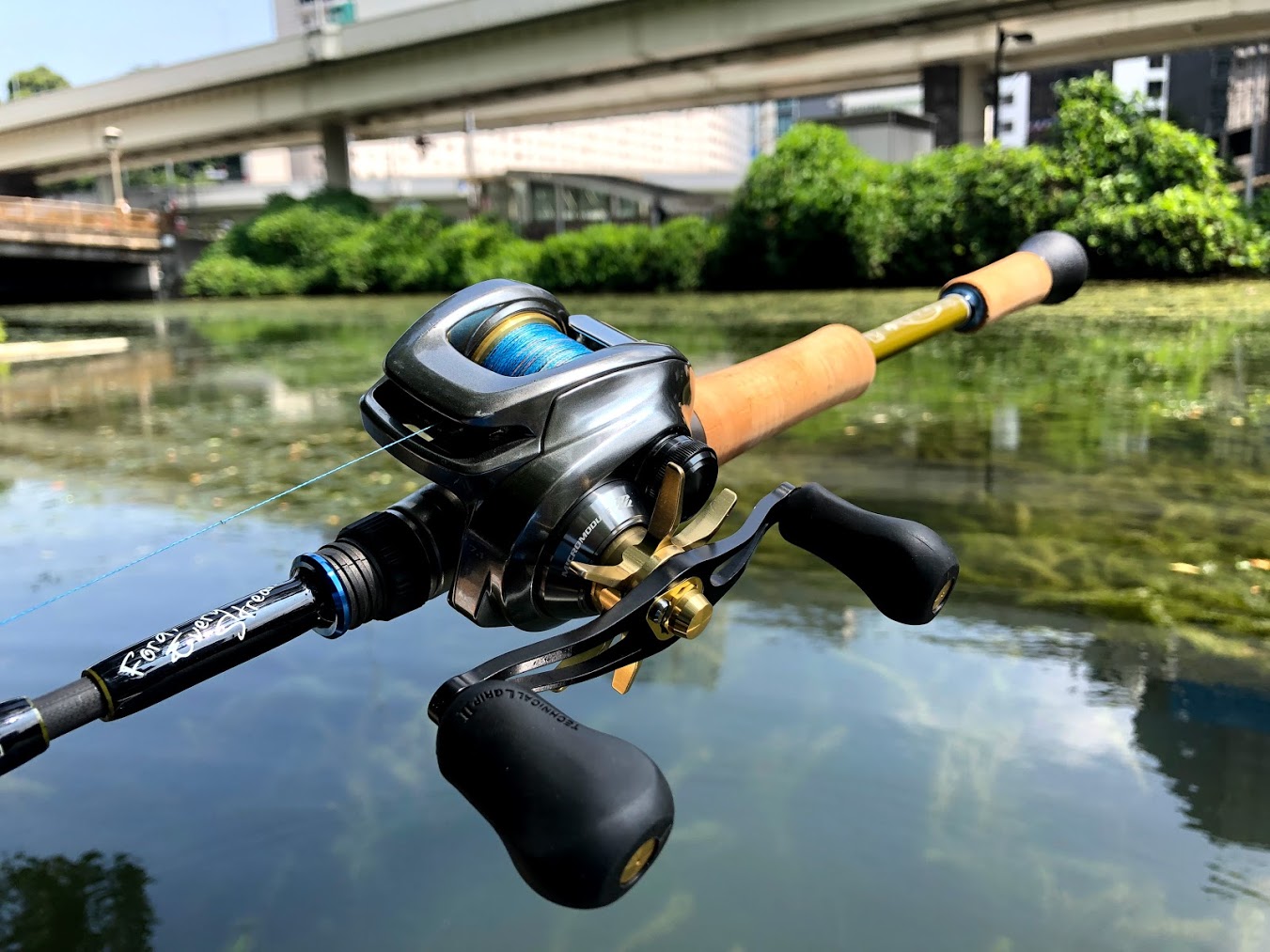 バンタム MGL Avail浅溝スプール＋マグネットブレーキ仕様 インプレ。気持ちいいバンタムの決定版。 | ikahime | 2ページ目