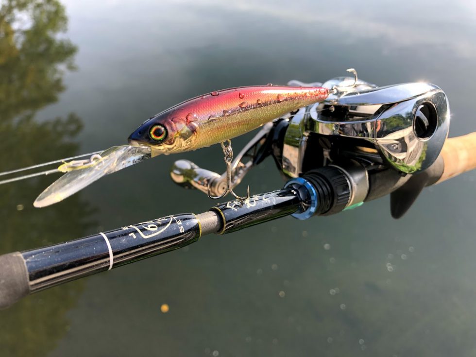 JACKALLダウズビドー 90SP インプレ。ロングビルミノーの苦手意識をどう克服するか。 | ikahime | 2ページ目