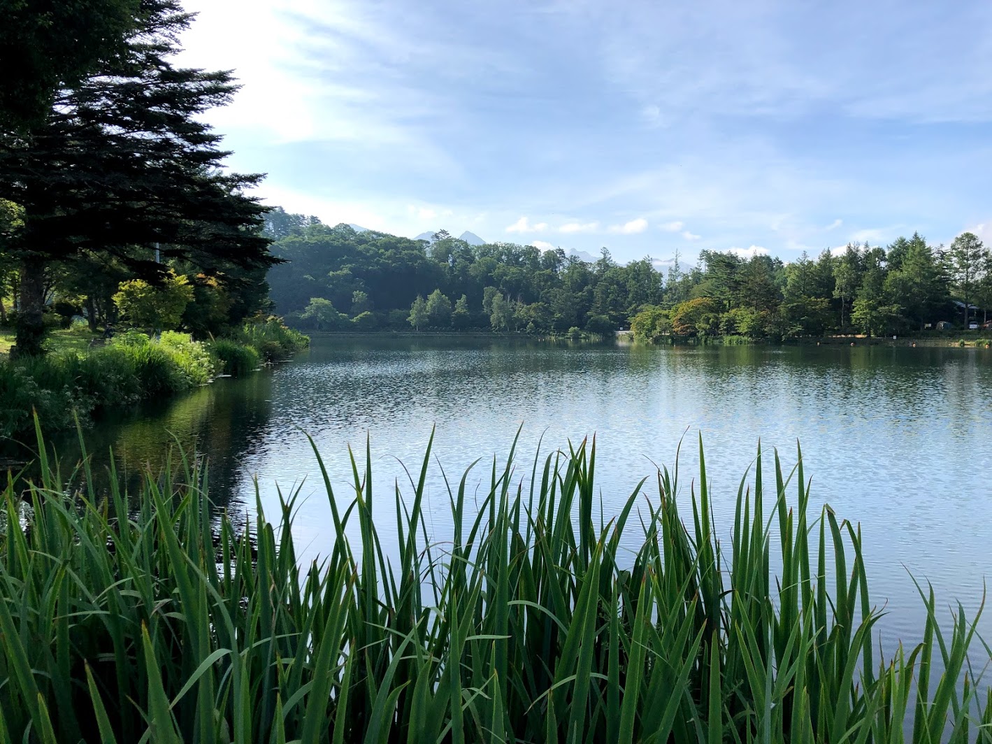 長野 蓼科湖 釣行。ボトムアップ ビーブルで40UP 1本。3日やったものの、1本のみ。 | ikahime