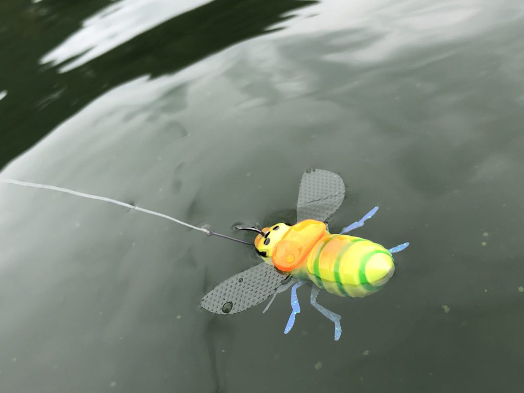 JACKALL BUGDOG インプレ。不思議なハード系虫ルアー。極薄の羽は課題あり？ | ikahime