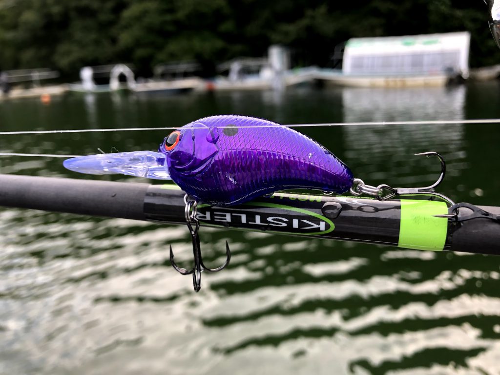 秋に巻きたいミドルダイバーなクランクベイトいろいろ。 | ikahime