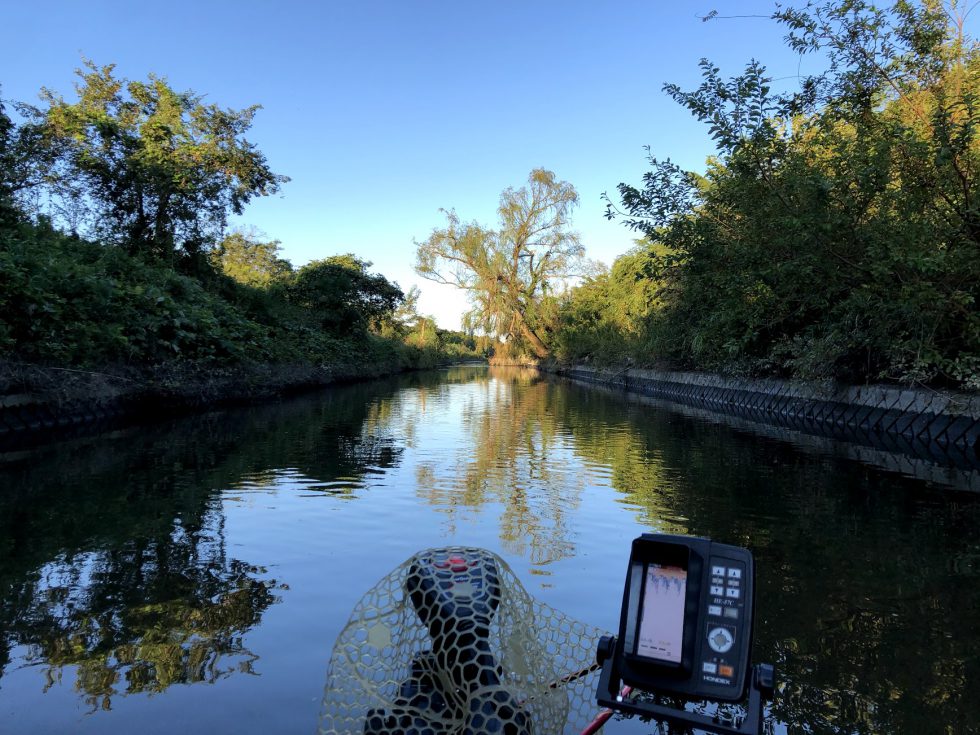 [2019総括]今年読まれた記事TOP5!1年間ありがとうございました。 | ikahime