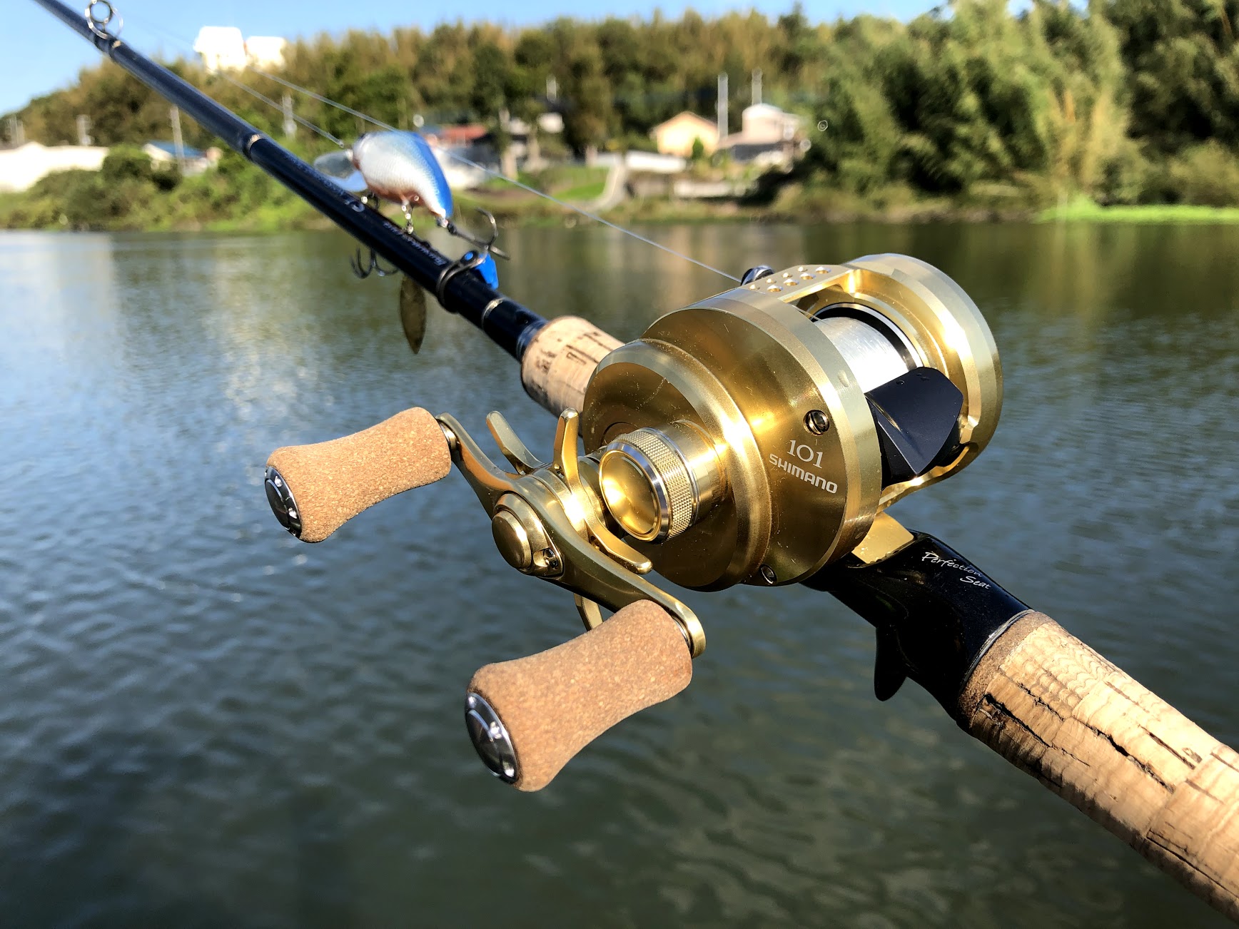 秋の将監川&長門川バス釣り。スピナベとクランクで40UPゲット。 | ikahime | 2ページ目