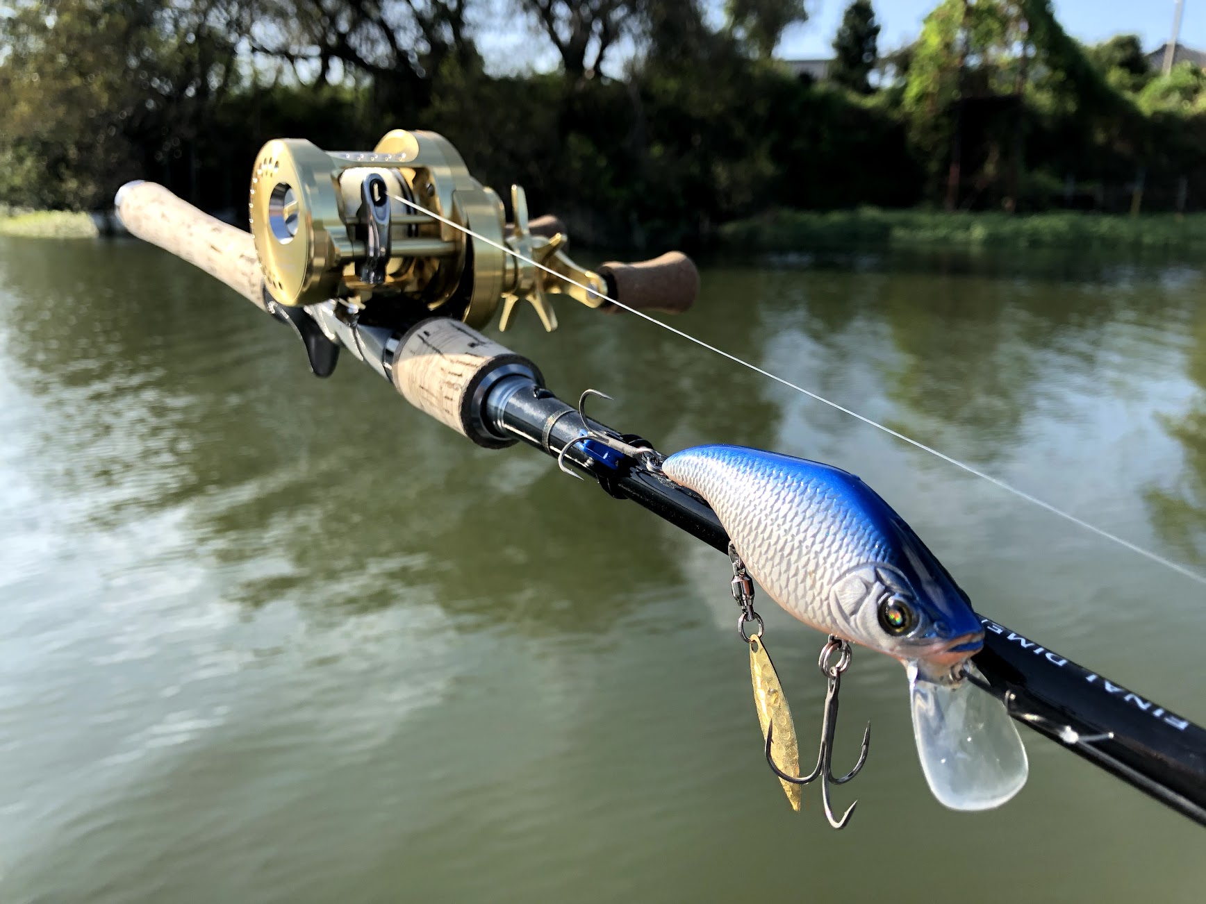 シマノベイトリールの使い分け方。 | ikahime | 2ページ目