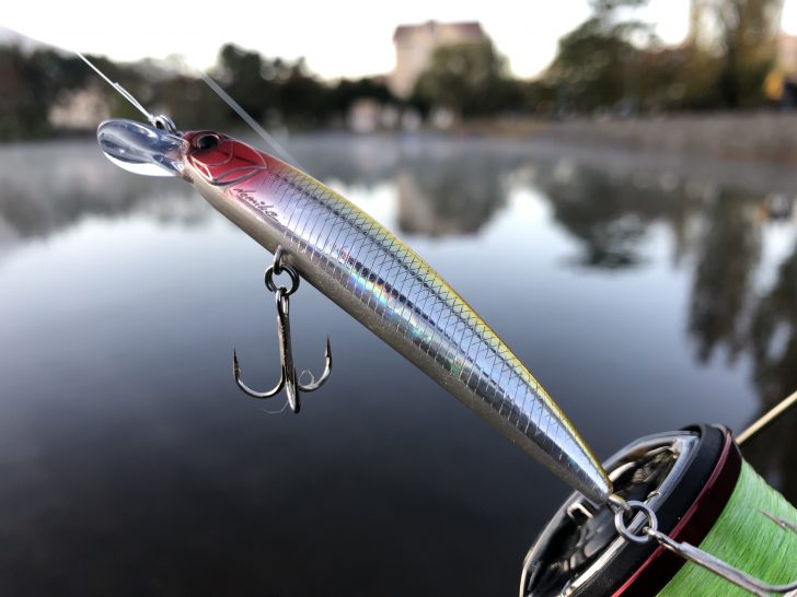 11月の河口湖。放流バスをクリスタルSとGENKIポークDSで2本。 | ikahime