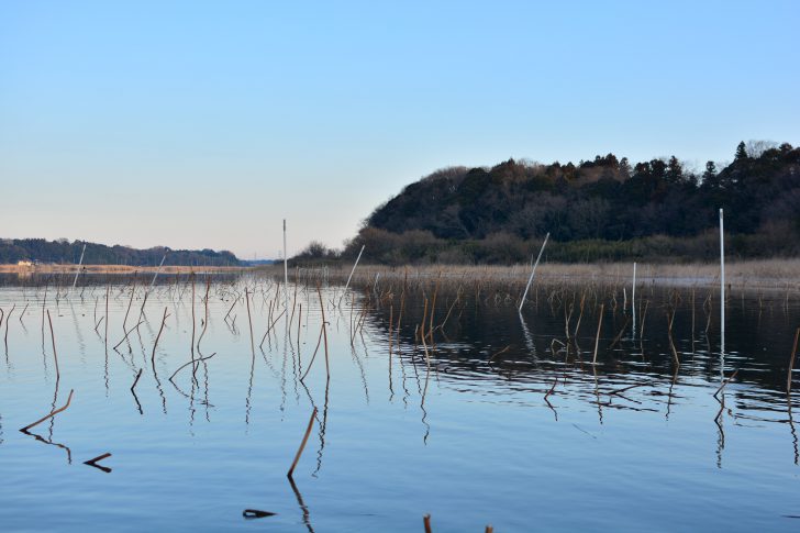 釣れない！難易度MAXなバスフィールド3選。〜ここで釣れたら釣りウマ〜 | ikahime