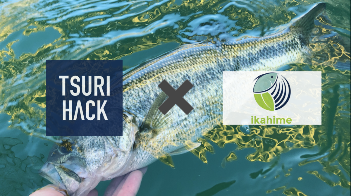 [NEW]ご報告。TSURI HACKで記事を書くことになりました。 | ikahime