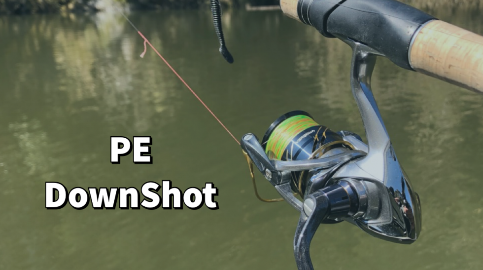 高比重peラインでダウンショットやってみた（PEダウンショット）[セフィアG5] | ikahime