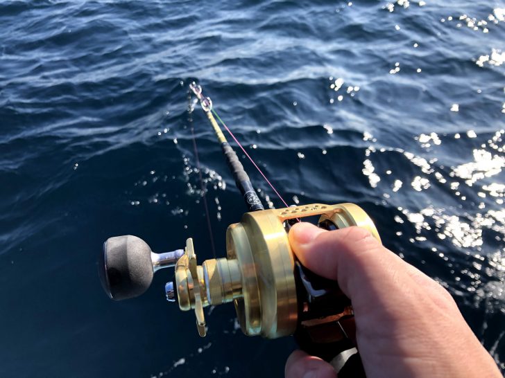 PEラインの交換時期（寿命）はいつ？物理的ダメージが無ければ半年から1年。 | ikahime