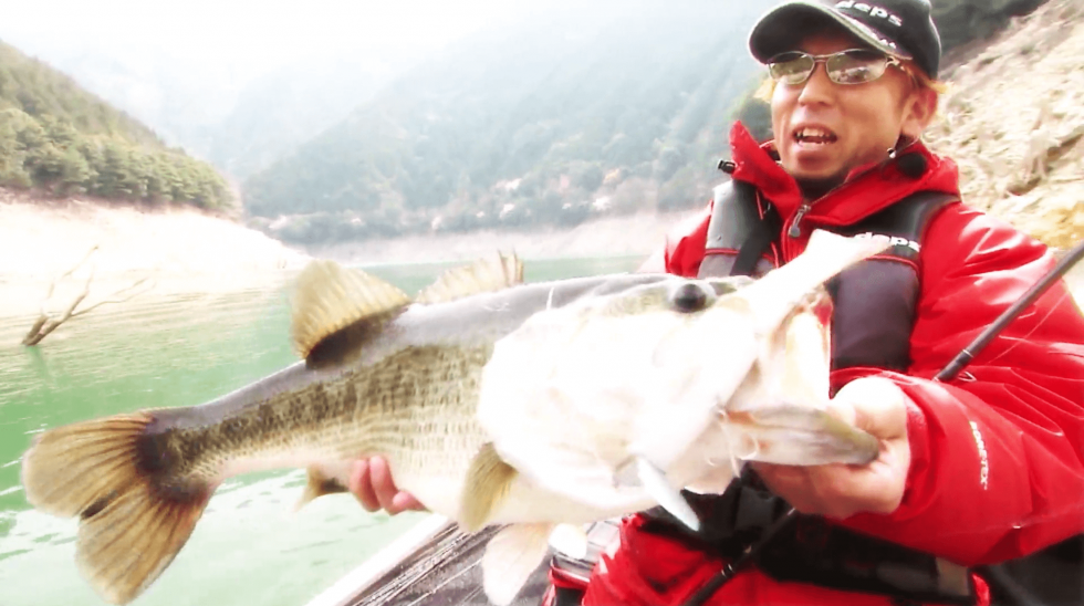 「D-IMPACT(奥村 和正)」を無料視聴できる動画配信サービス(VOD)は？ | ikahime