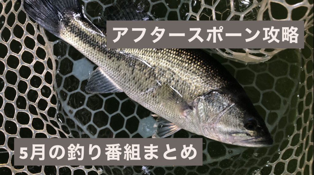 [5月]アフタースポーニングを勉強できるバス釣り番組まとめ。 | ikahime