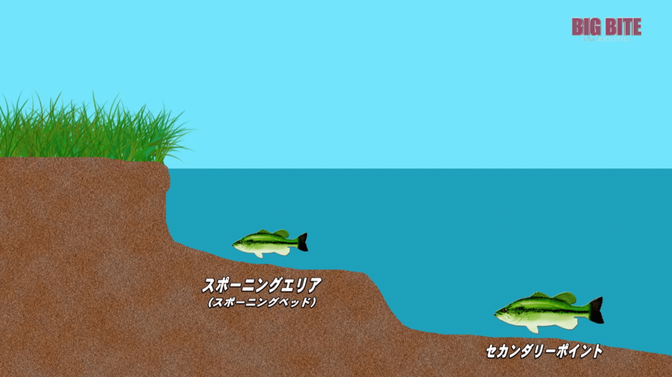 「BIG BITE(菊元 俊文)」を無料視聴できる動画配信サービス(VOD)は？ | ikahime