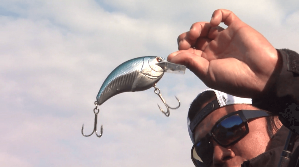 「Counter(カウンター)[木村建太]」を無料視聴できる動画配信サービス(VOD)は？ | ikahime