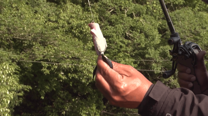 「Counter(カウンター)[木村建太]」を無料視聴できる動画配信サービス(VOD)は？ | ikahime