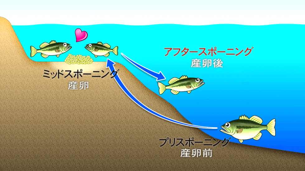 「TryB(伊藤 巧)」を無料視聴できる動画配信サービス(VOD)は？ | ikahime