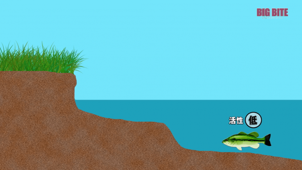 「BIG BITE(菊元 俊文)」を無料視聴できる動画配信サービス(VOD)は？ | ikahime