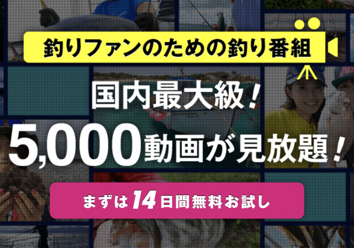 釣りビジョンVOD 2週間お試し無料。 5000作品の釣り番組が見放題な件。 | ikahime