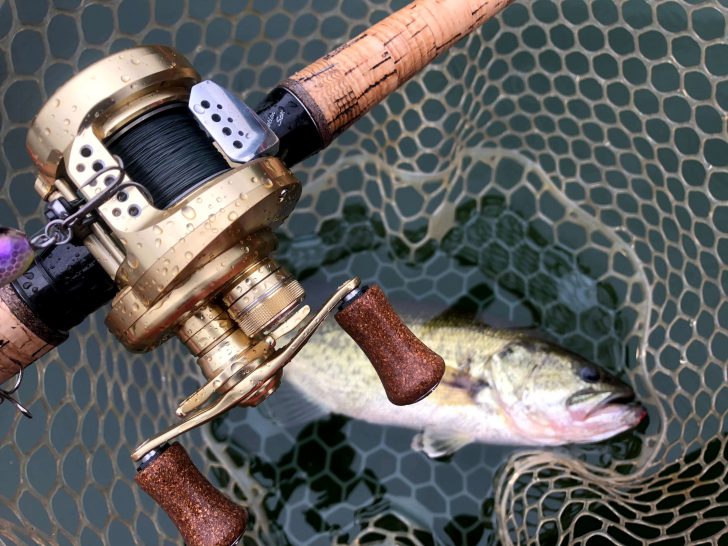 サンヨーナイロン APPLAUD GT-R ULTRA 【ウルトラ】 インプレ。ナイロンラインの王様。 | ikahime