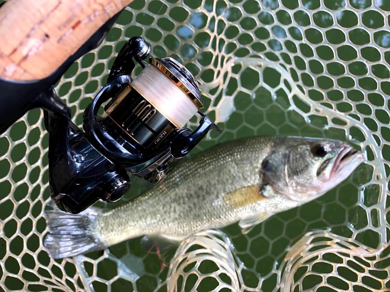 ’19ヴァンキッシュに夢屋カスタムスプール1000N2010をオン。マルチスプールオペレーションでバス⇄エリアがすこぶる快適って件。 | ikahime | 2ページ目