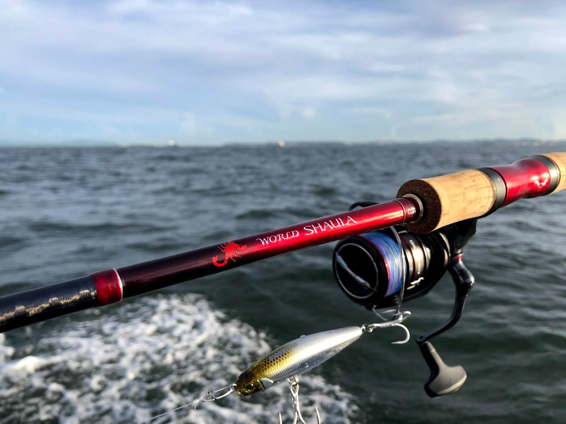 シマノ ワールドシャウラ 2702R-2インプレ。[超赤]ボートシーバスに最適な一本。 | ikahime | 2ページ目