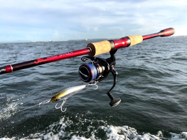シマノ ワールドシャウラ 2702R-2インプレ。[超赤]ボートシーバスに最適な一本。 | ikahime