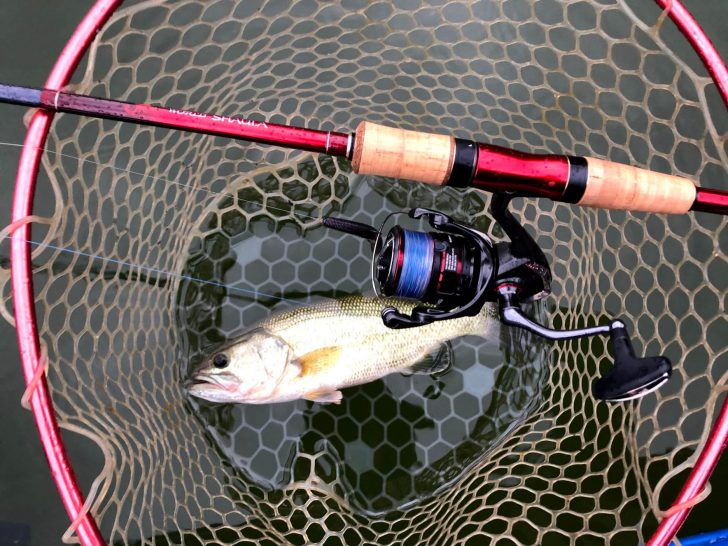 シマノ ワールドシャウラ 2702R-2インプレ。[超赤]ボートシーバスに最適な一本。 | ikahime | 2ページ目