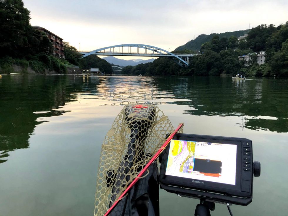 今年買ってよかった釣り具TOP5。 | ikahime