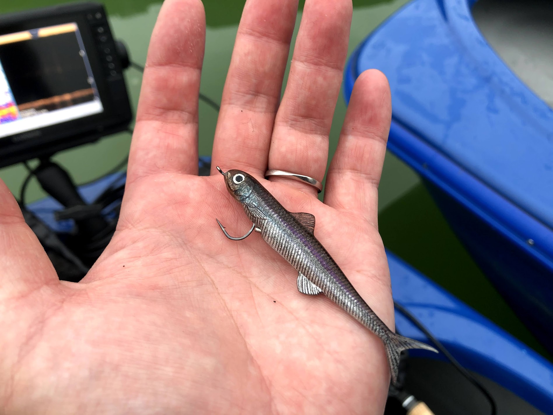 ラストエース80F インプレ。[喰わせ最強]表層ベイトフィッシュ。 | ikahime