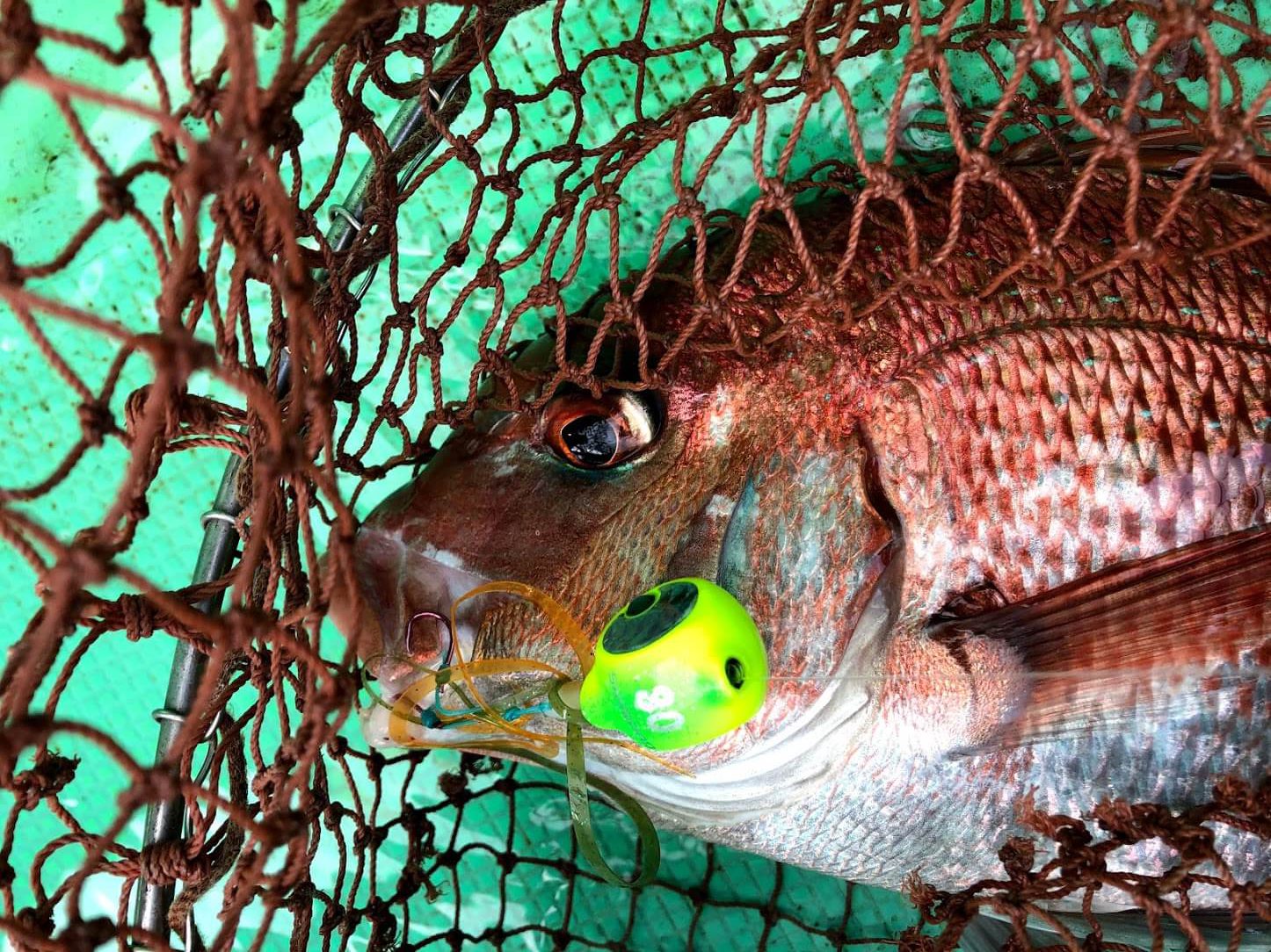 弁天屋 タイラバ訪問レポート。タイラバ船利用時の流れを解説！施設情報や釣果など[12月]。 | ikahime